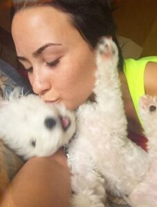 Demi Lovato Height, Age, Boyfriend, Family, Biography » StarsUnfolded