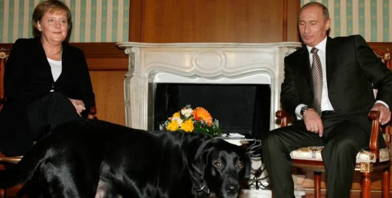 Vladimir Putin Height, Age, Girlfriend, Wife, Children, Family ...