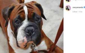 Navya Naveli Nanda Height, Age, Boyfriend, Family, Biography ...