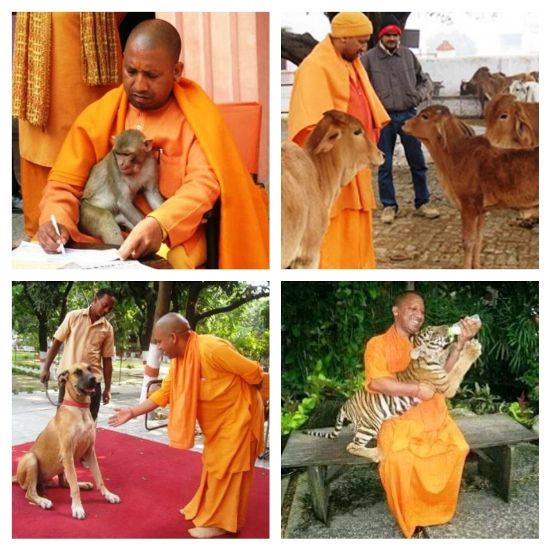 Yogi Adityanath Age Caste Wife Family Biography StarsUnfolded Yogi Adityanath Age Caste Wife Family Biography StarsUnfolded
