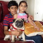 Vandana Pathak Height, Weight, Age, Husband, Biography & More ...