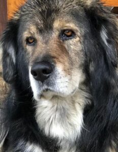 Deepak Dobriyal Height, Age, Wife, Family, Biography & More » StarsUnfolded