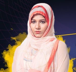 Mehjabi Siddiqui (Bigg Boss 11) Age, Husband, Family, Biography & More ...