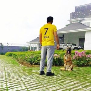 MS Dhoni’s House – Photos, Area, Interior, Address & More » StarsUnfolded