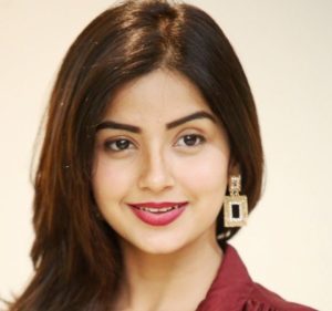 The Freelancer (Disney+ Hotstar) Actors, Cast & Crew » StarsUnfolded