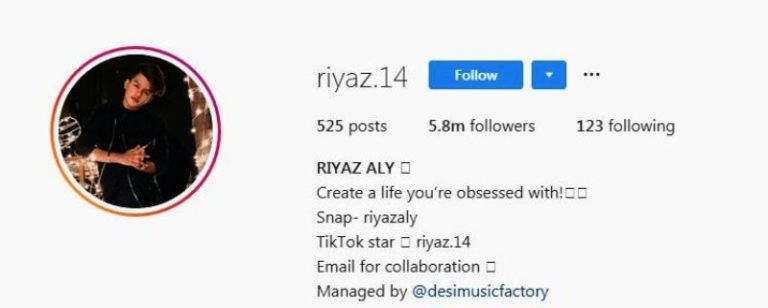 Riyaz Aly Tiktok Star Age Girlfriend Family Biography More