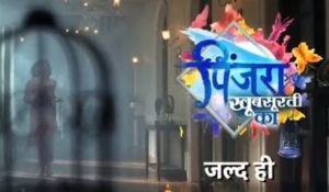 Pinjara Khubsurti Ka Actors, Cast & Crew » StarsUnfolded