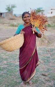 Gangavva (Bigg Boss Telugu) Age, Husband, Children, Family, Biography ...