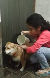 Inayat Verma (Child Actor) Age, Family, Biography & More » StarsUnfolded