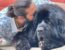 Vinay Bidappa Height, Age, Girlfriend, Wife, Family, Biography & More ...