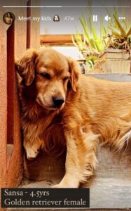 Nimisha PS (Bigg Boss Malayalam 4) Height, Age, Boyfriend, Family ...