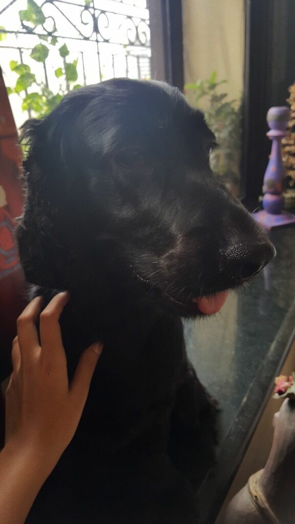 Antara Srivastava (Raju Srivastava's Daughter) Age, Boyfriend, Family ...