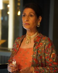 Hush Hush Actors, Cast & Crew » StarsUnfolded