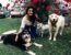 Nivaashiyni (Bigg Boss Tamil 6) Height, Age, Boyfriend, Family ...