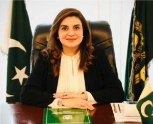 Kashmala Tariq Age, Boyfriend, Husband, Family, Biography & More ...