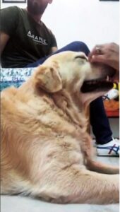 Anshul Jubli Height, Weight, Age, Girlfriend, Family, Biography & More ...