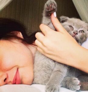Dasha Taran Age, Boyfriend, Family, Biography & More » StarsUnfolded