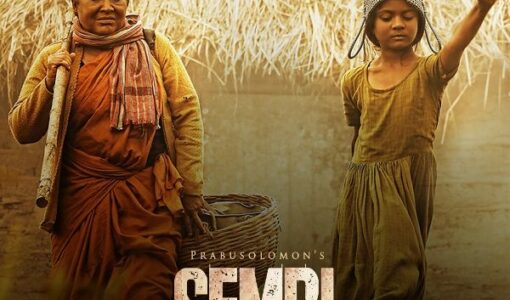 Biographies » StarsUnfolded