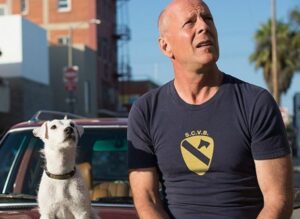 Bruce Willis Height, Age, Wife, Family, Biography & More » StarsUnfolded