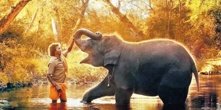 Bomman (The Elephant Whisperers) Age, Wife, Family, Biography & More ...