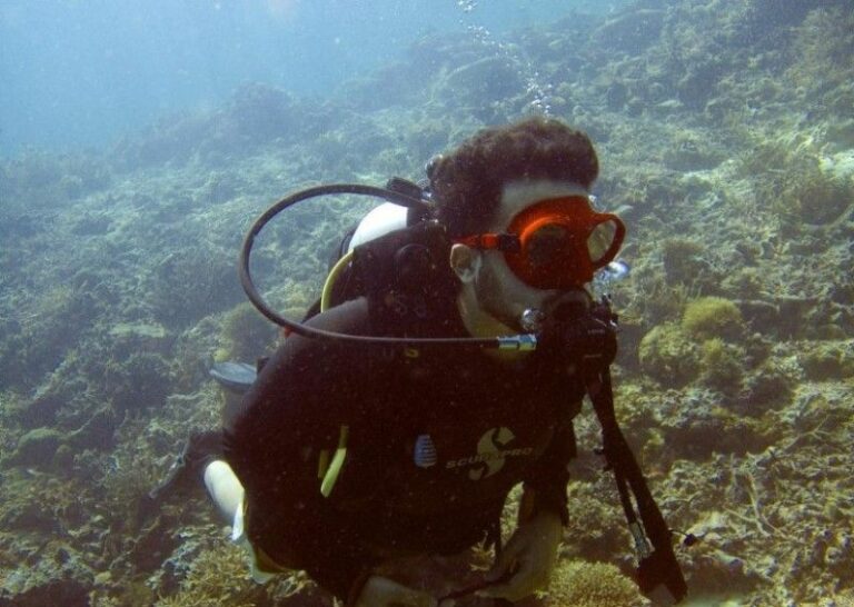 Shivang Chopra (Parineeti Chopra's Brother) Age, Family, Biography ...