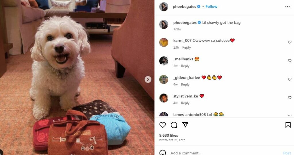 Phoebe Gates Height, Age, Boyfriend, Family, Biography & More ...