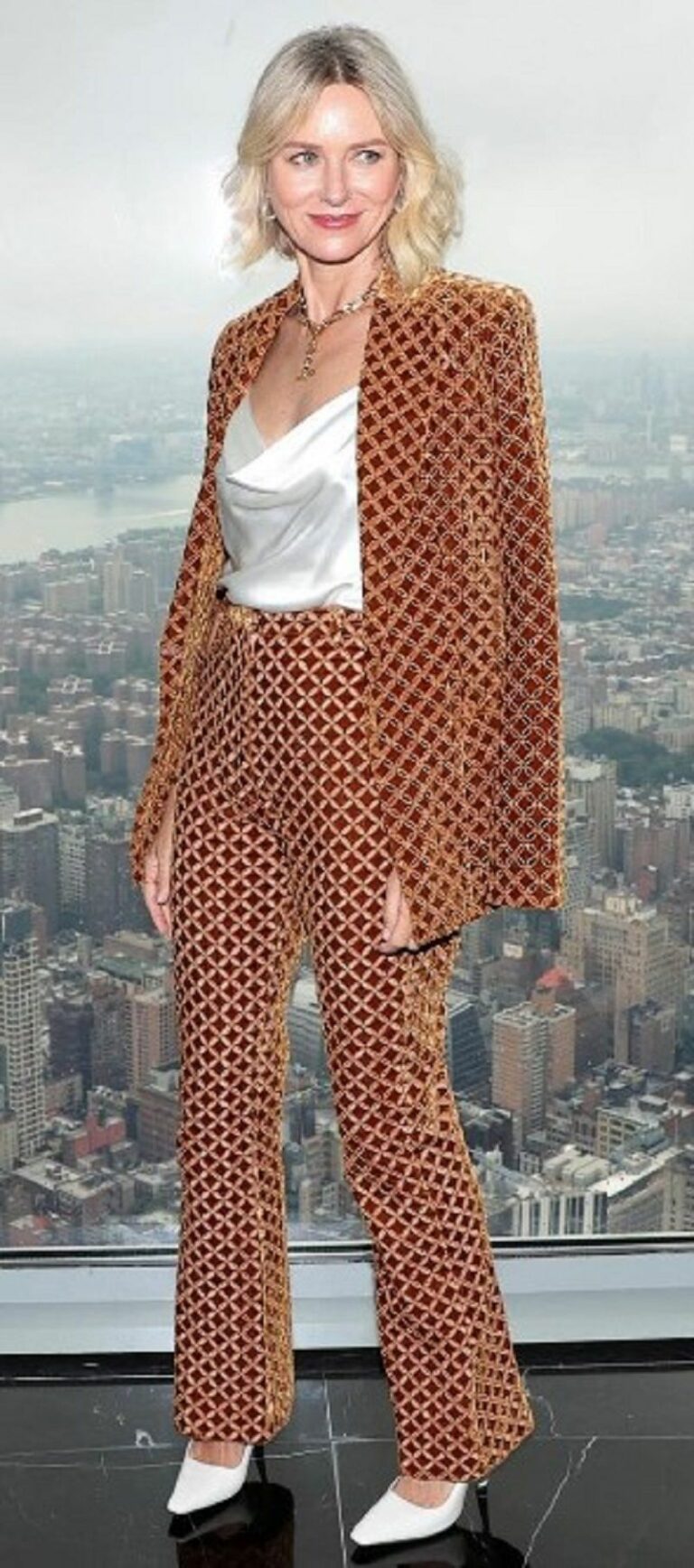 Naomi Watts Age, Boyfriend, Husband, Children, Family, Biography & More ...