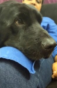 Prashanthini Age, Husband, Family, Biography & More » StarsUnfolded