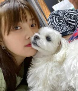 Joy (Red Velvet) Height, Age, Boyfriend, Husband, Family, Biography ...