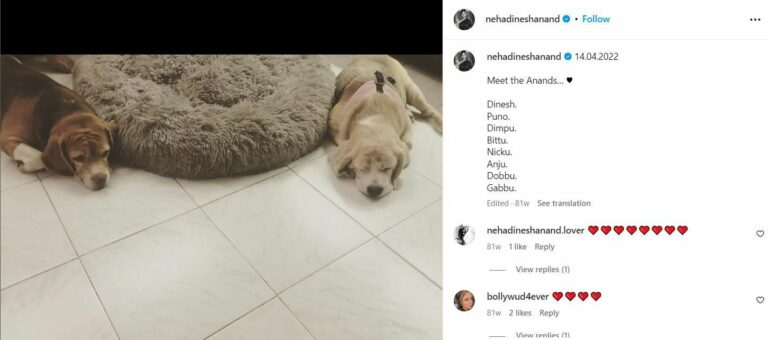 Neha Anand (Temptation Island India) Height, Age, Husband, Family ...