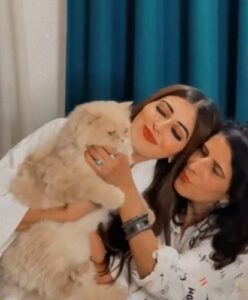 Ruma Sharma Height, Age, Boyfriend, Family, Biography & More ...