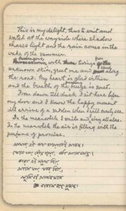 Rabindranath Tagore Age, Death, Wife, Children, Family, Biography ...