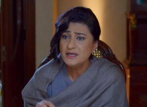 Saba Hameed Age, Husband, Children, Family, Biography & More ...