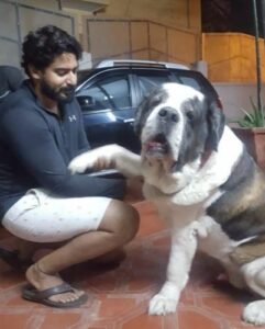 Prajwal Devaraj Height, Age, Wife, Family, Biography & More » StarsUnfolded