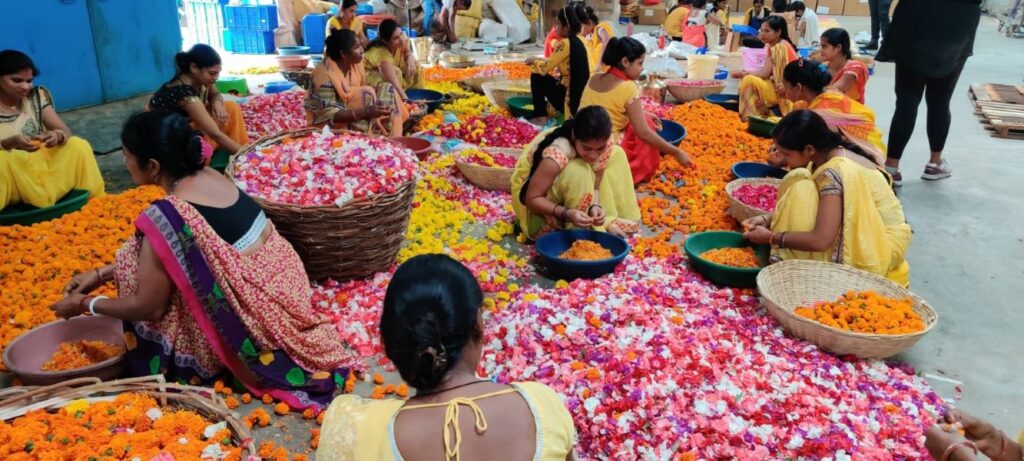 Ankit Agarwal (Phool Founder) Age, Wife, Family, Biography & More ...