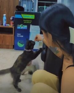 Deekila Sherpa (MTV Splitsvilla X5) Height, Age, Boyfriend, Family ...