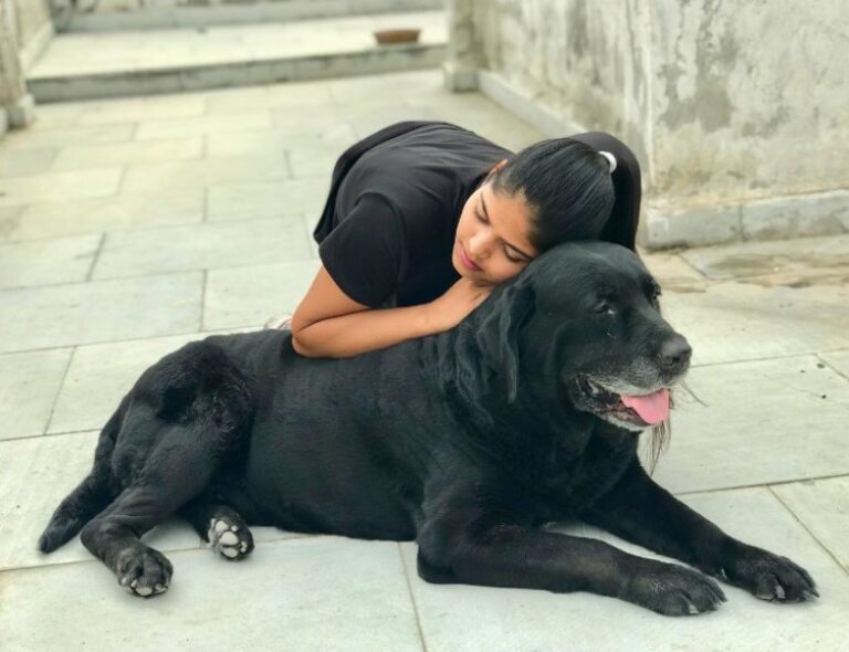 Shivani Gupta Height, Age, Family, Biography » StarsUnfolded