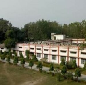 Pilot Baba Age, Death, Biography » StarsUnfolded