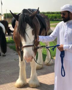 Jamal Al Nadak Height, Age, Wife, Family, Biography » StarsUnfolded