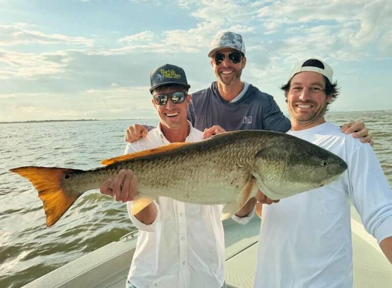 Jarrett Thomas Height, Age, Wife, Family, Biography » StarsUnfolded